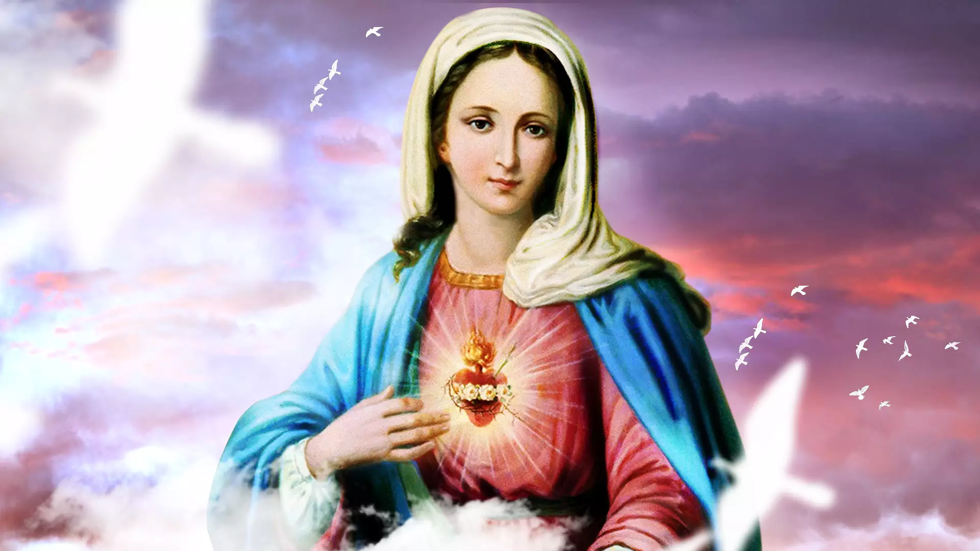 Decida-se pelo melhor - Sociedade Maria Cristo